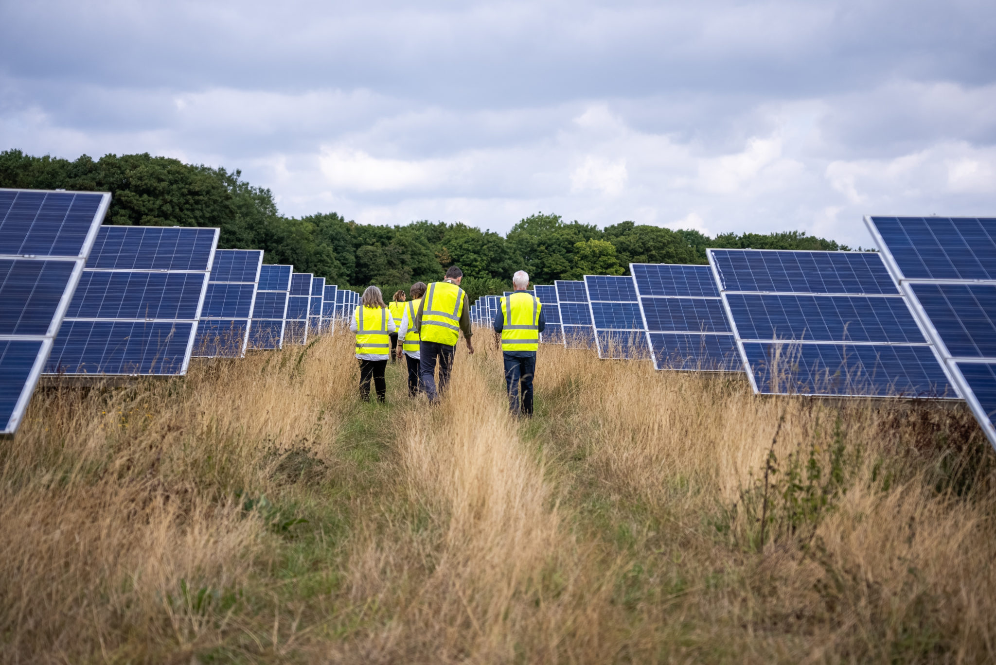 Our plans for the year - and an exciting transition - Community Energy ...